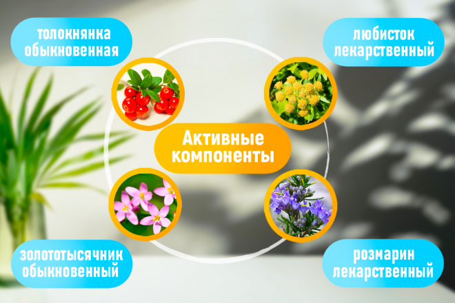 Уронефрил Экстра, 0,25 г, 120 шт, таблетки покрытые оболочкой – купить ...