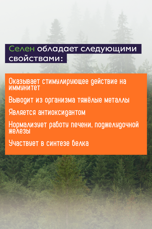 Селениум NOW, 100 шт, таблетки – купить по цене 526 руб. в интернет ...