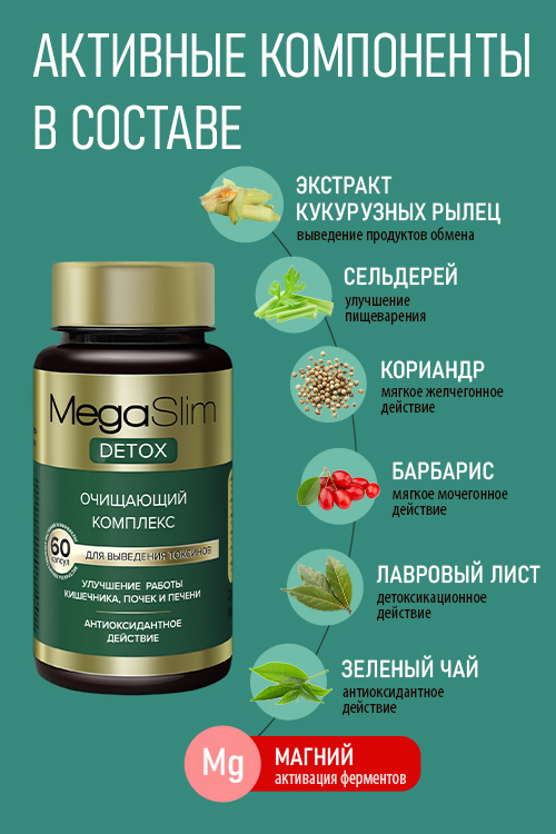 ЛЕОВИТ БАД «Очищающий комплекс» MegaSlim, 60 капсул по 0,6 г – купить ...